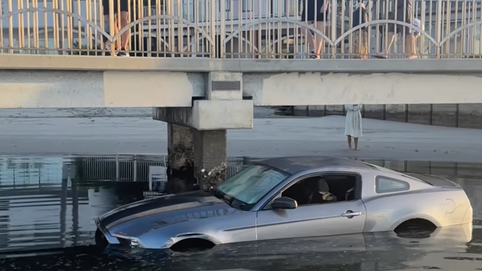 Mustang Goes Swimming In San Diego Bay, Owners Claim It Wasn't Them ...