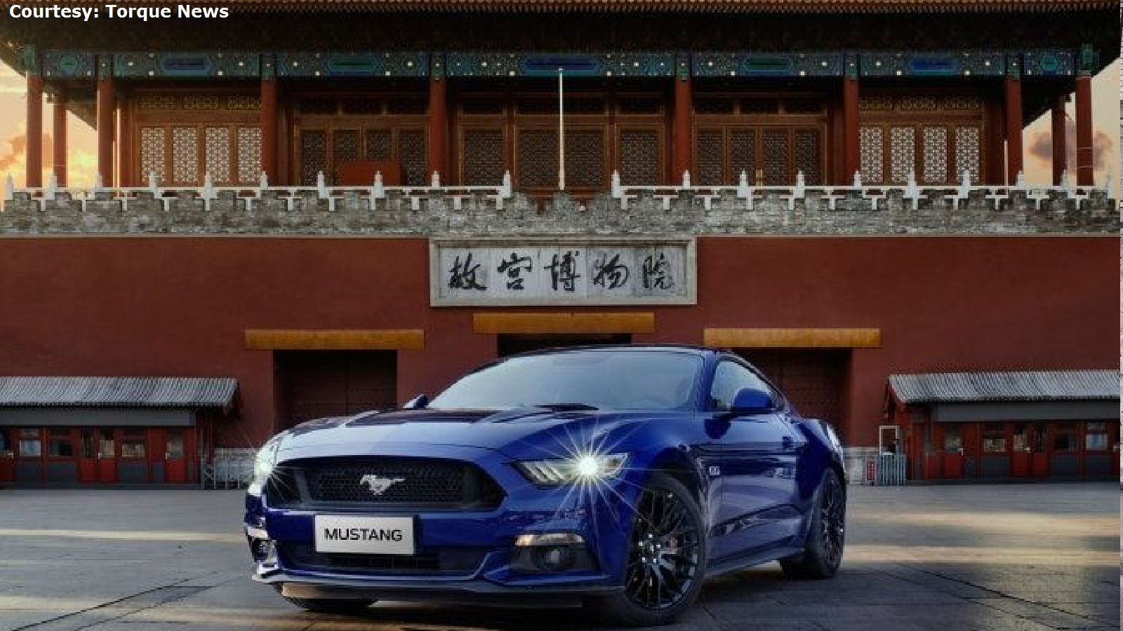 Slideshow: Romancing the Mustang: Stories of Love | Themustangsource