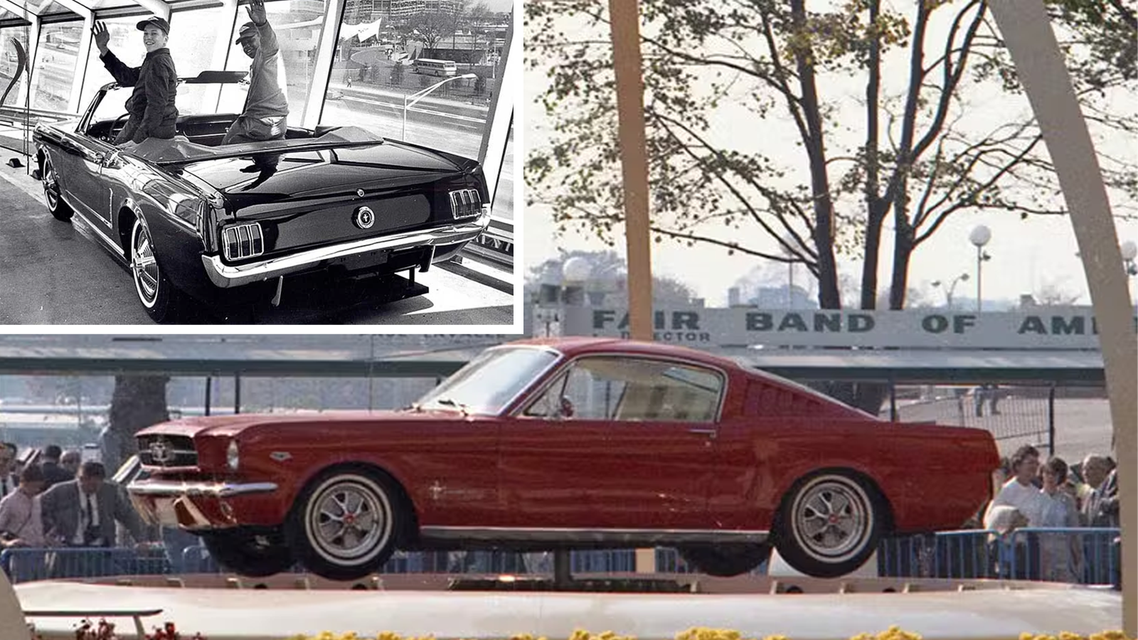 10 Rarest Ford Mustang Variants In History | Themustangsource