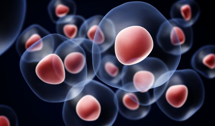 Growth Factor Therapy