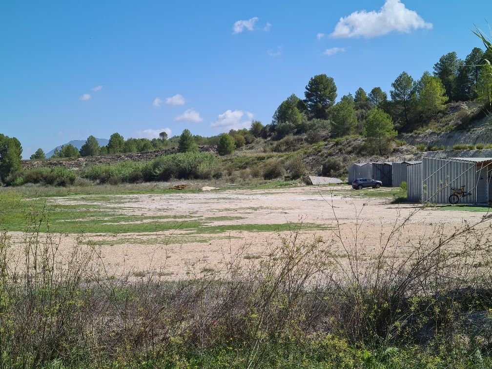 PPRuNe Forums - Which Aerodrome Mk IV