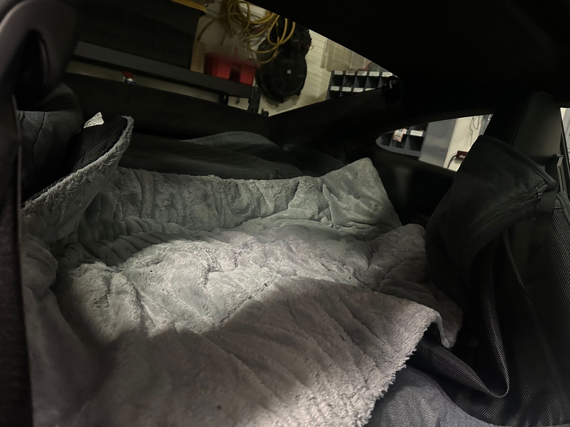 Dog Carrying Ideas 991 GTS - Page 2 - Rennlist - Porsche Discussion Forums