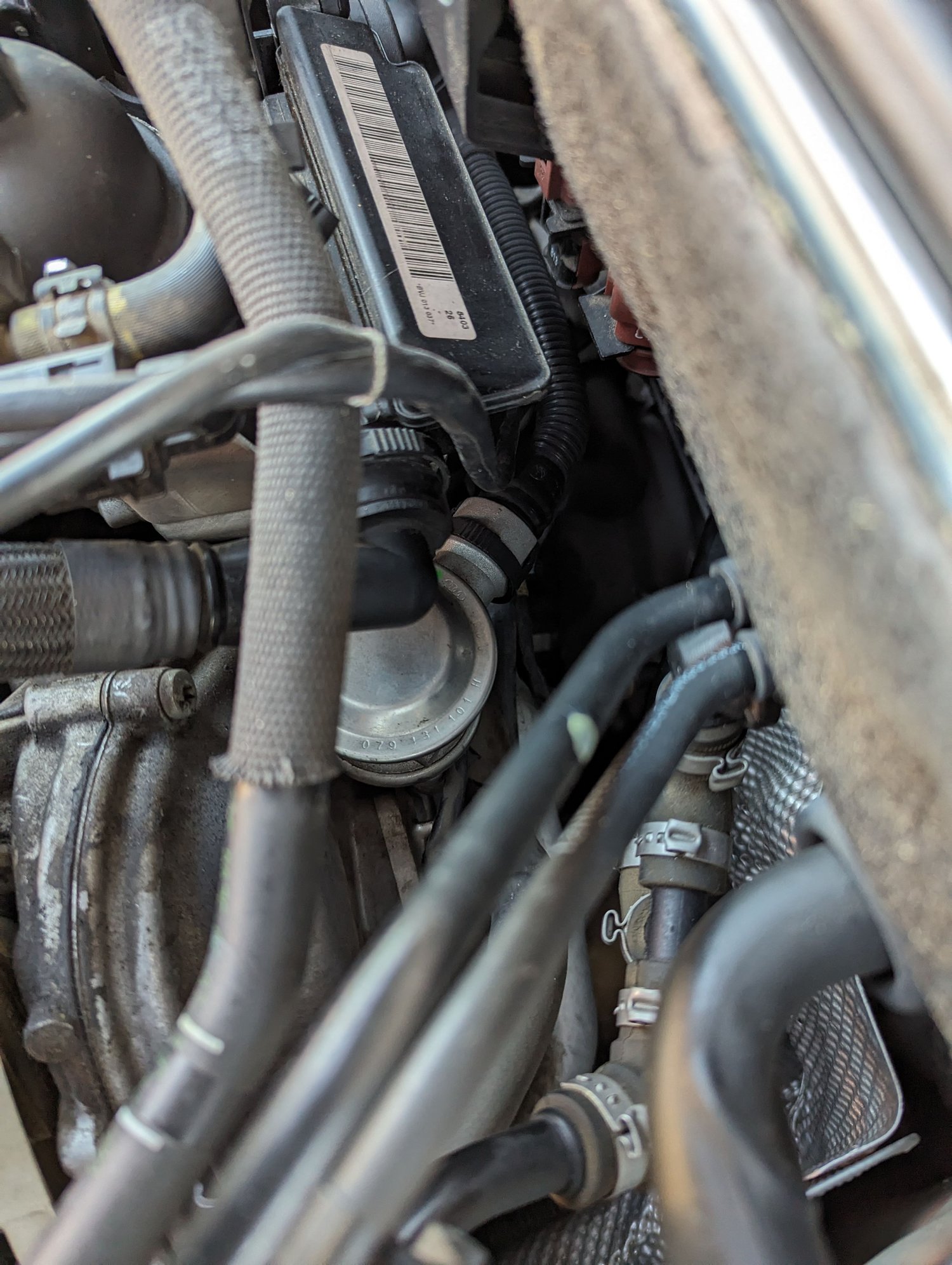 Coolant temperature sensor, WHERE IS IT!?!?? - AudiWorld Forums