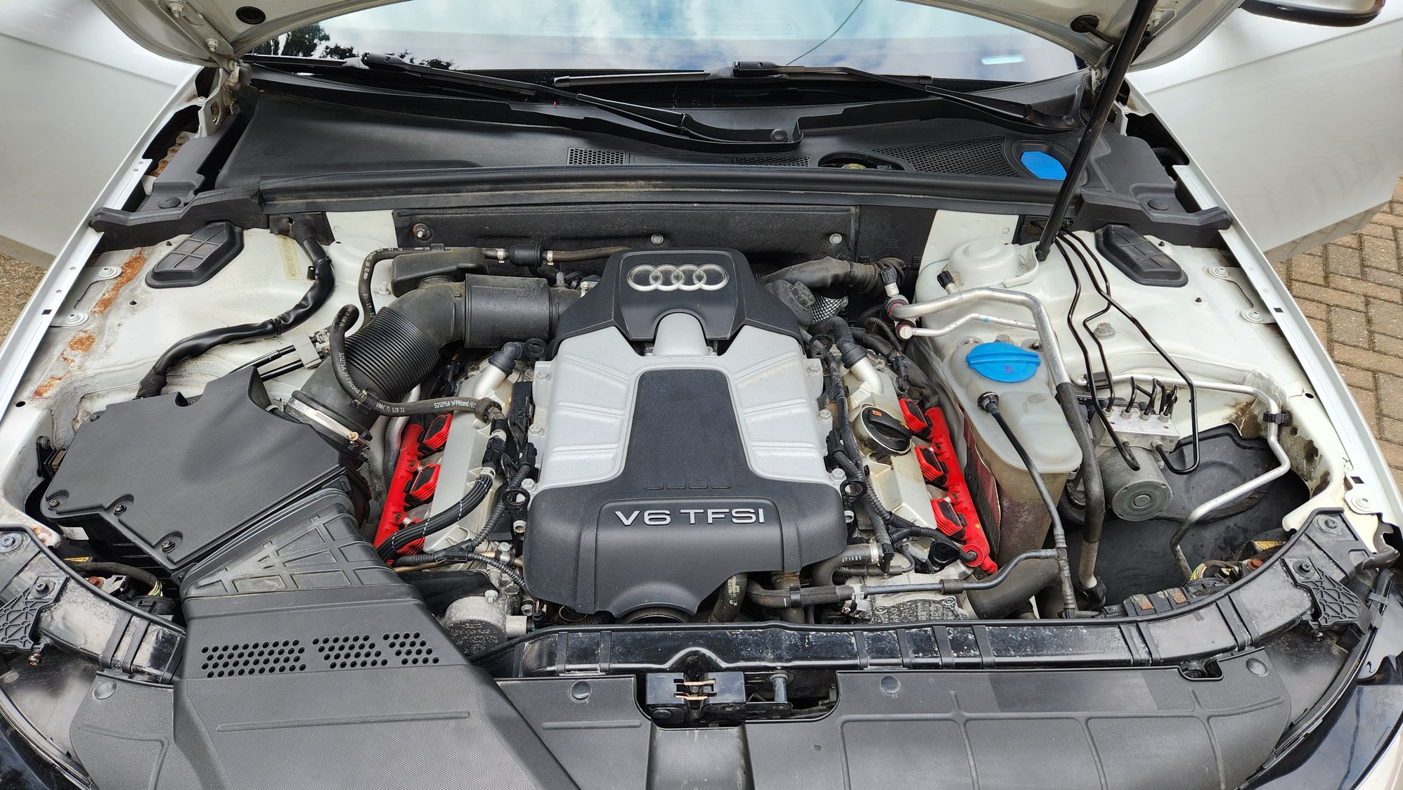 2013 Audi S4 (B8.5) Premium Plus / Glacier White / Manual - AudiWorld ...