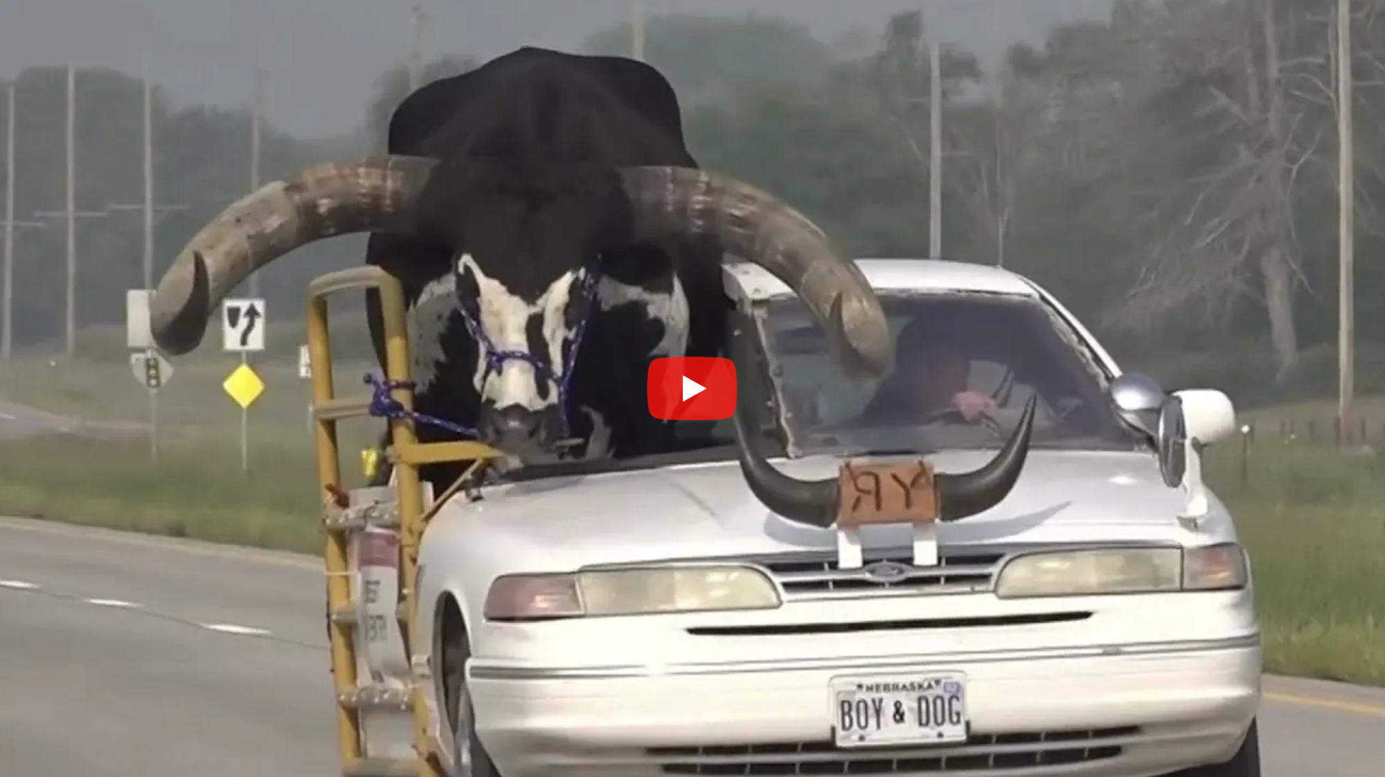 Modded for Oversteer? - AudiWorld Forums