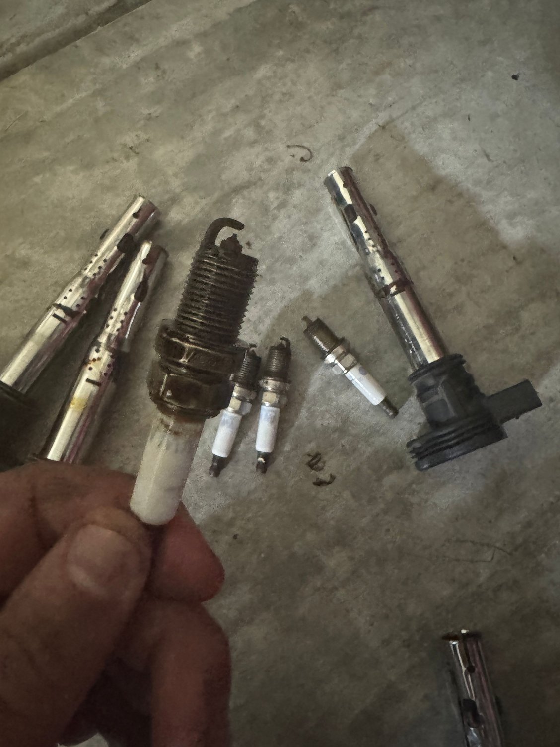 Spark plug coils with burned oil ? on them - AudiWorld Forums