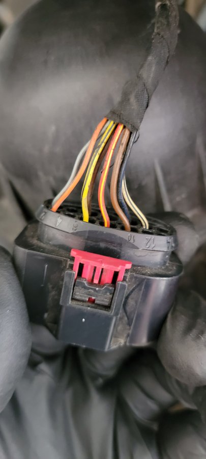 Wiring Help! - AudiWorld Forums