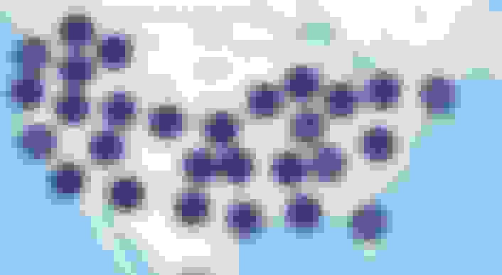 Electrify America Map - AudiWorld Forums