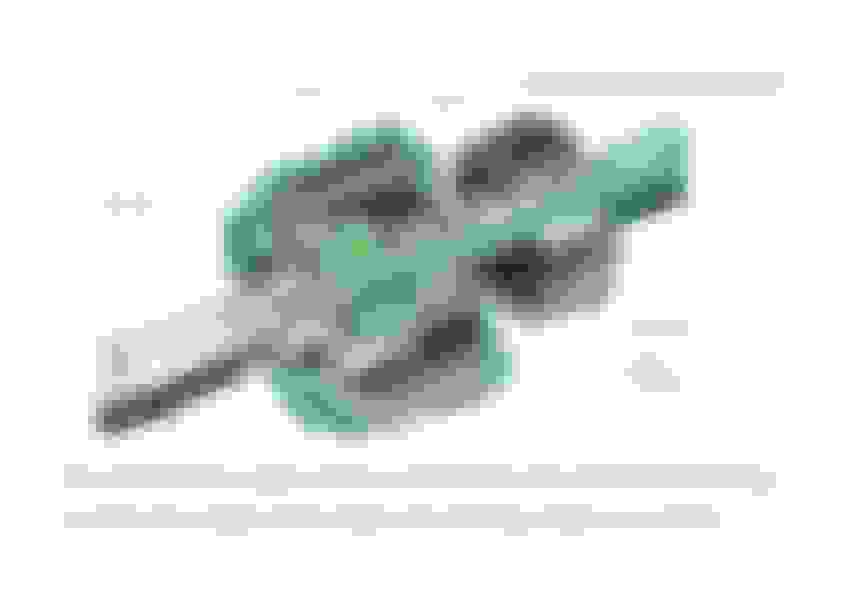 KR: Understanding the torque distribution principle of the Audi Torsen ...