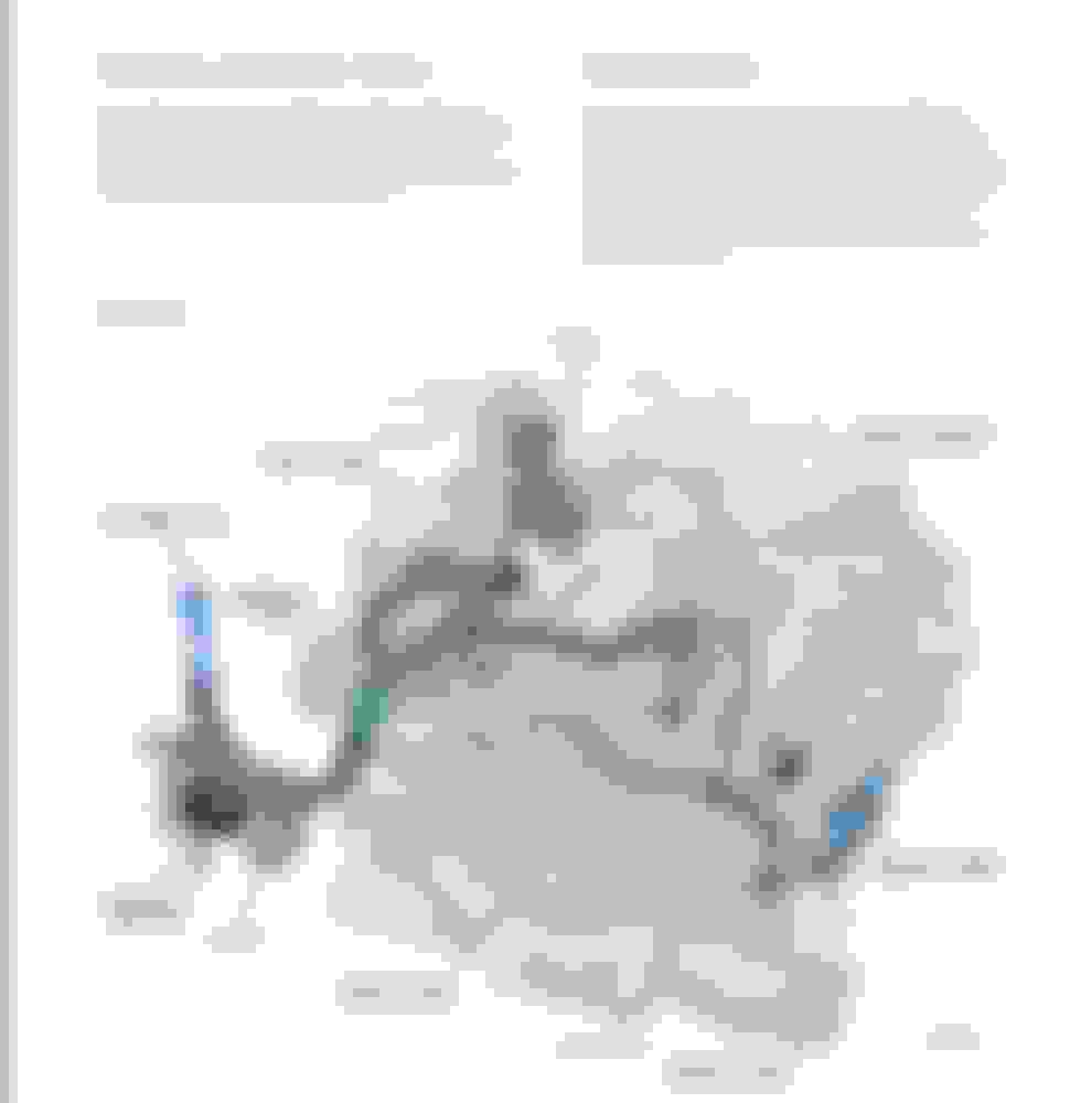 P0491 and P0492 secondary air injection insufficient flow after oil ...