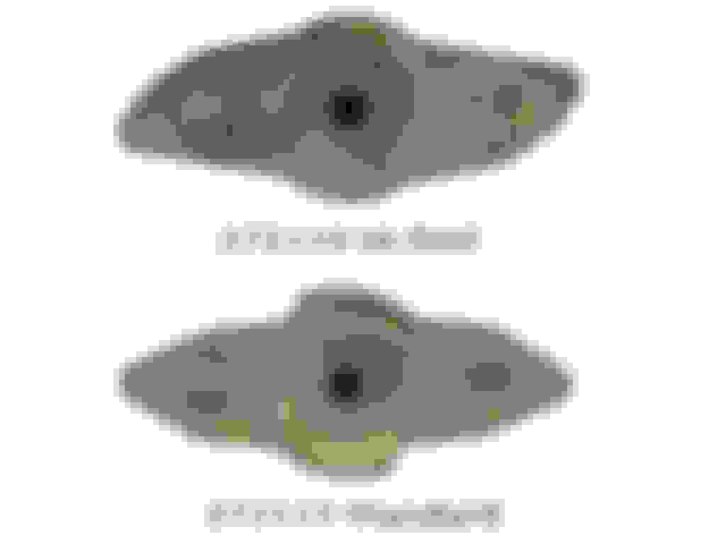 Distributor Tuning Chart - Page 2 - CorvetteForum - Chevrolet Corvette ...