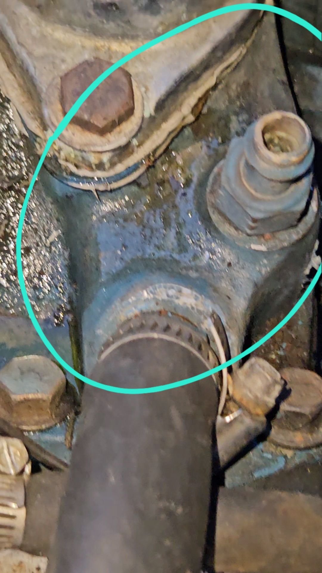 New 1981 C3 Corvette Adventure - A Mystery to Uncover! - CorvetteForum ...