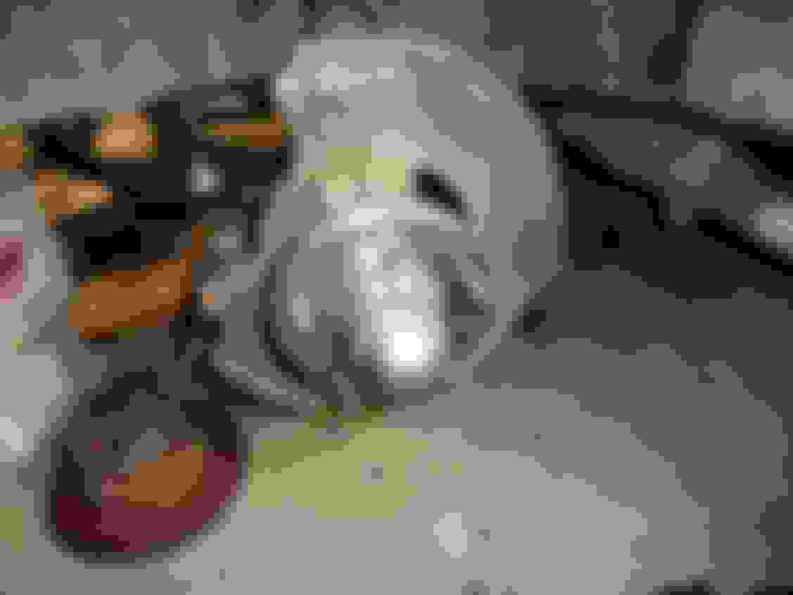 Brake rotor shims - CorvetteForum - Chevrolet Corvette Forum Discussion