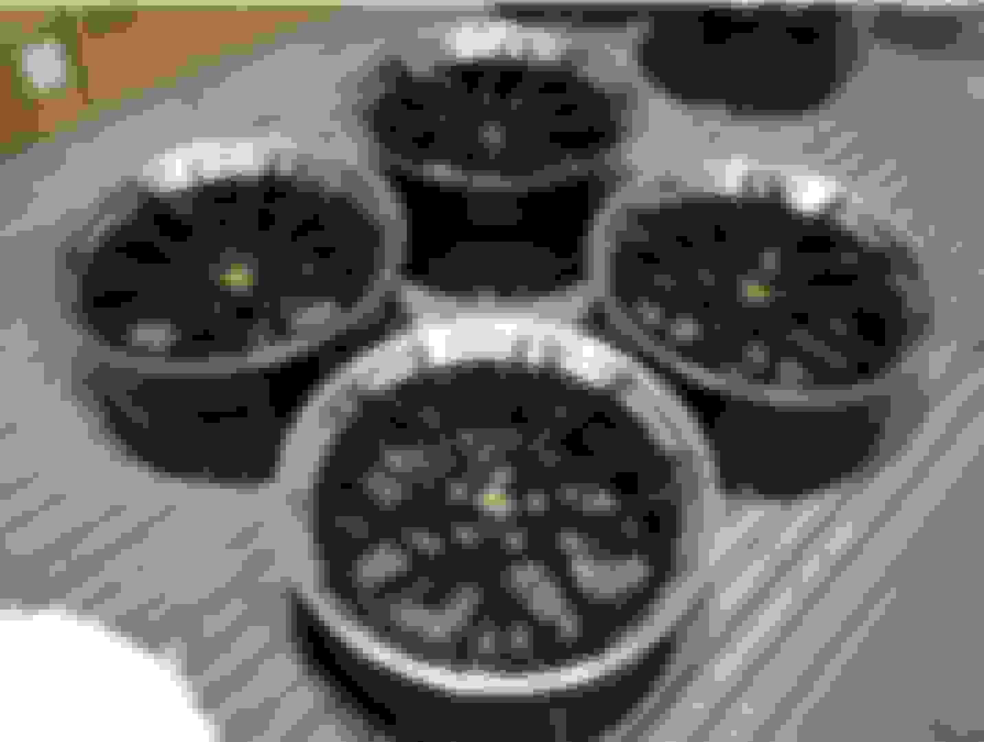 Magnesium Forged wheels by MP Modular Wheels - CorvetteForum ...