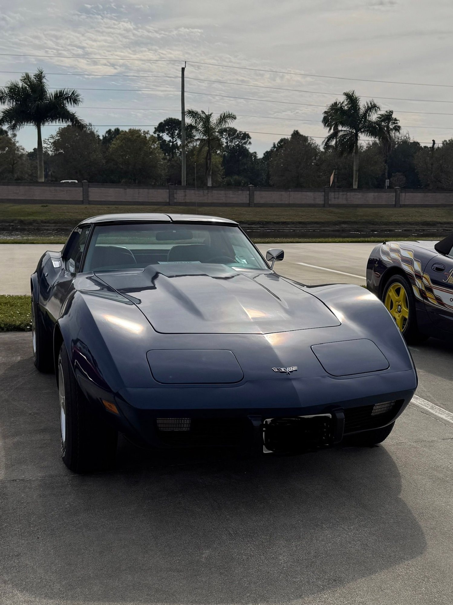 What did you do to your C3 today? - Page 814 - CorvetteForum ...