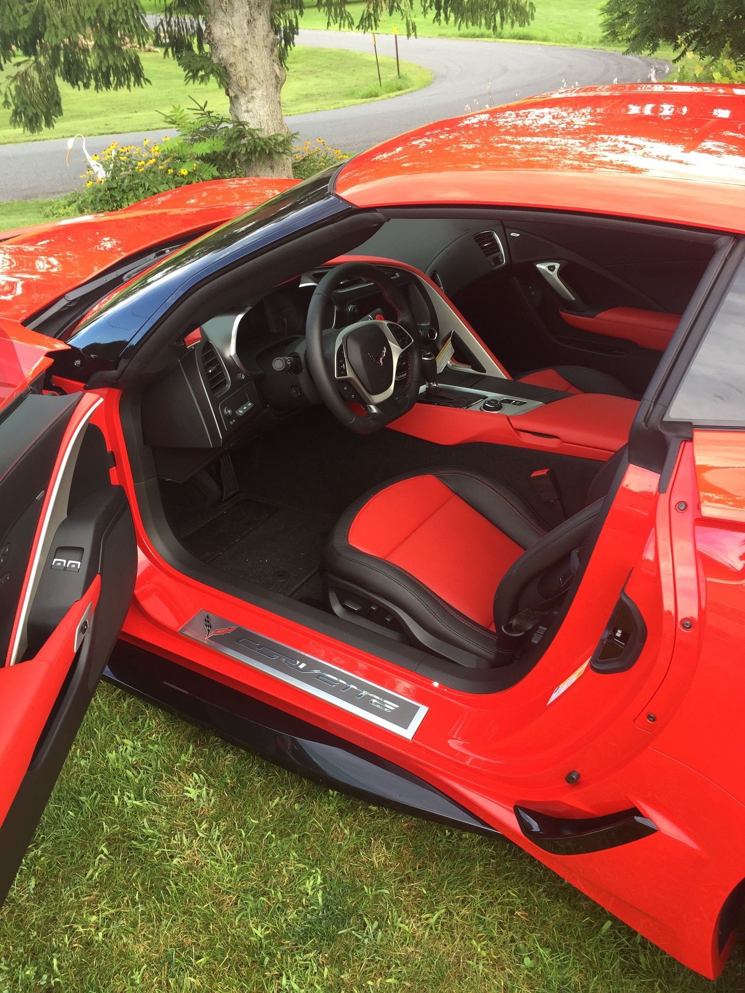 Interior Colors - CorvetteForum - Chevrolet Corvette Forum Discussion