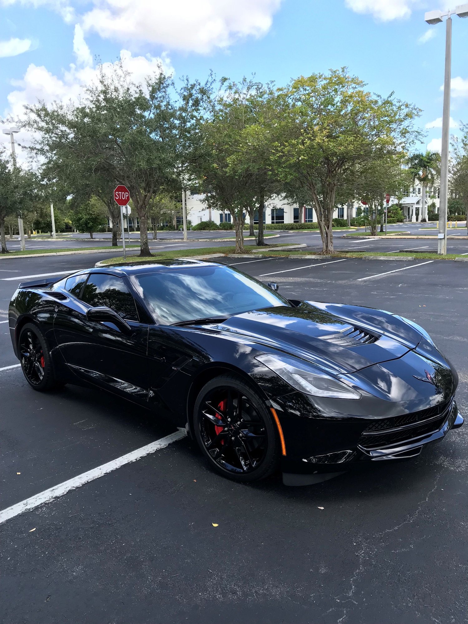 OFFICIAL: BLACK C7 Thread - Page 30 - CorvetteForum - Chevrolet ...