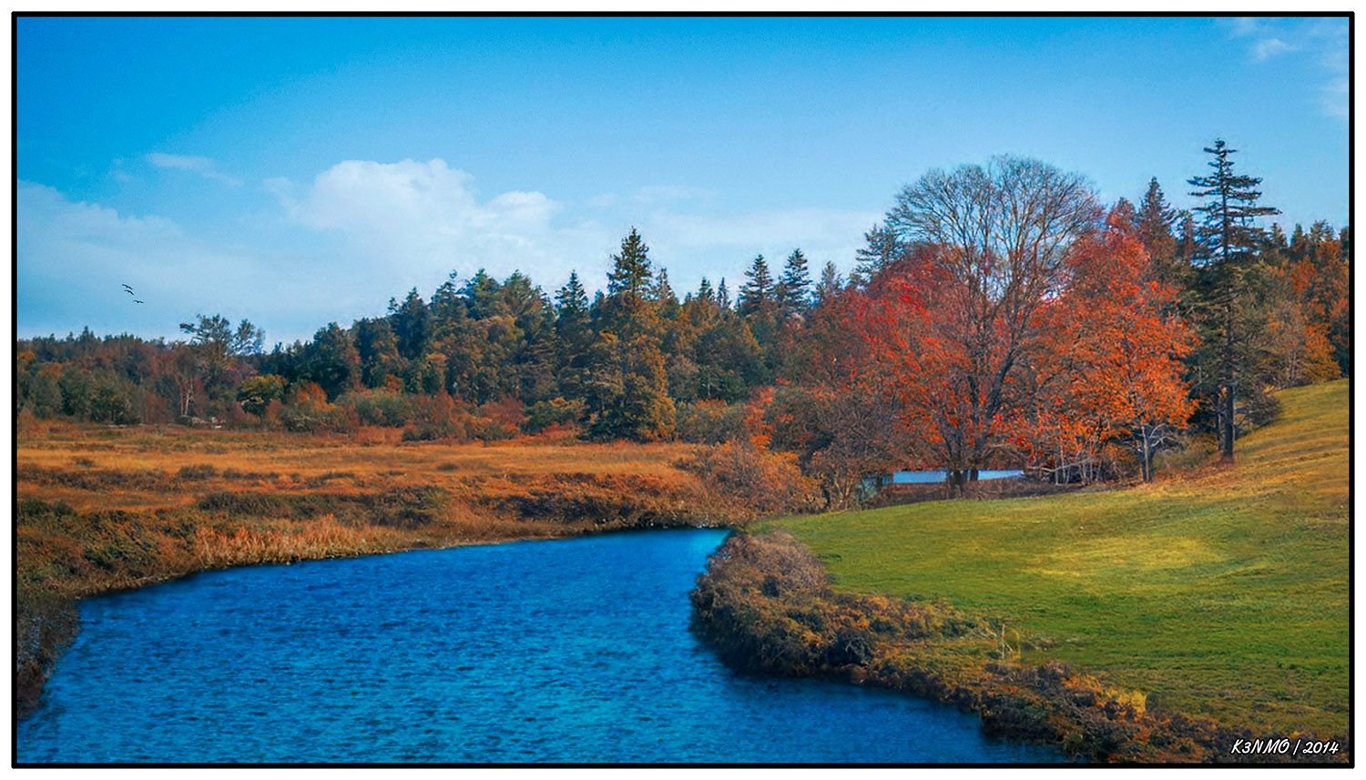 Random picture thread...that you took - Page 555 - CorvetteForum ...