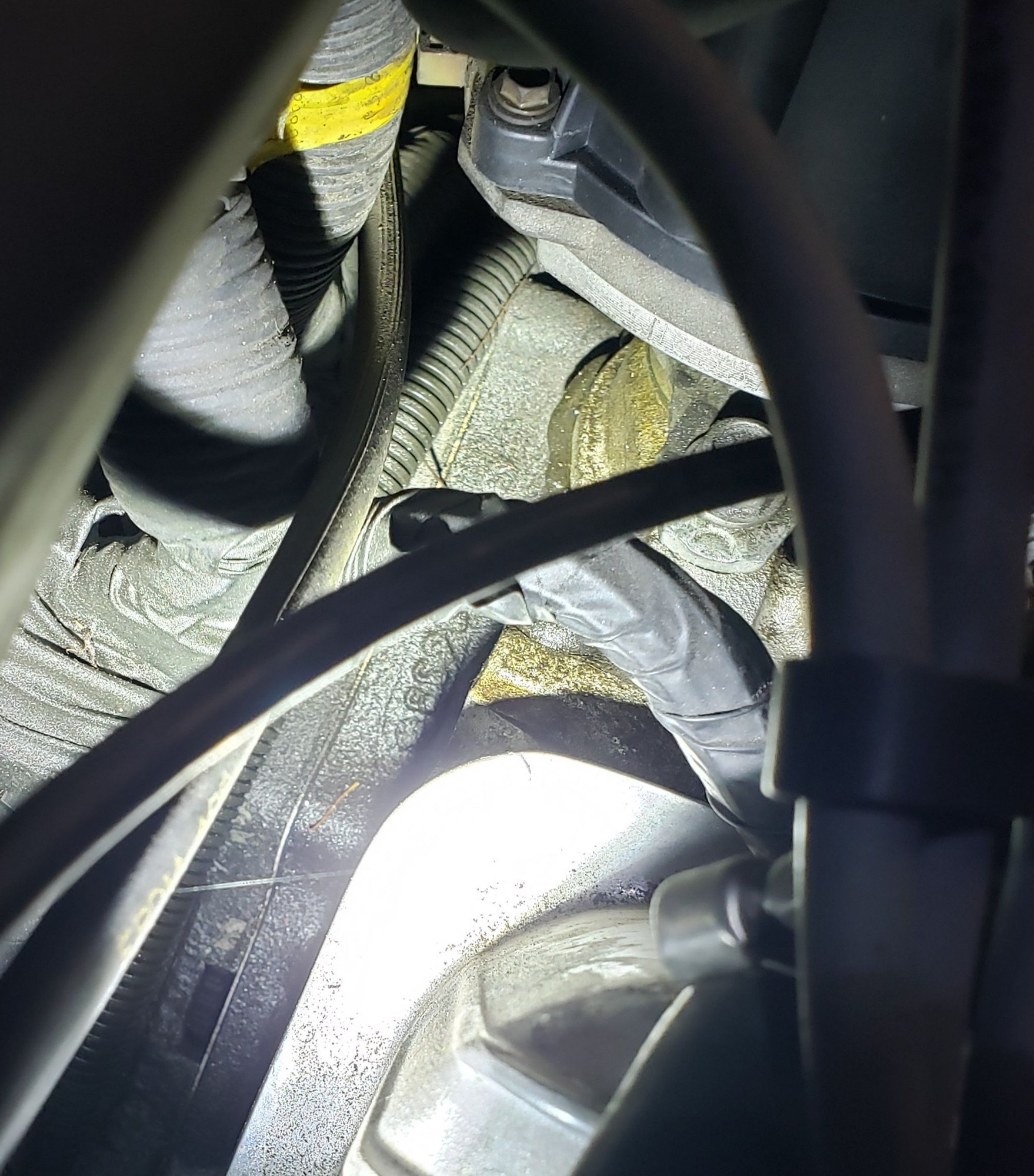 1991 L98 ZF6 Oil/Coolant Leak, poor running - CorvetteForum - Chevrolet ...