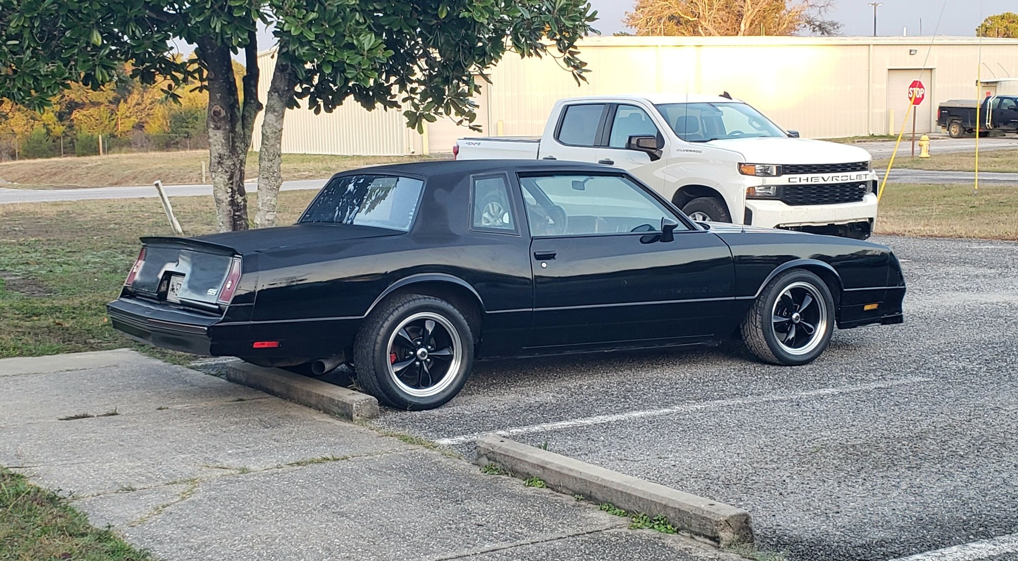 My 1984 Monte SS - CorvetteForum - Chevrolet Corvette Forum Discussion