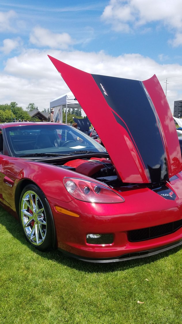 What Wrap? - CorvetteForum - Chevrolet Corvette Forum Discussion