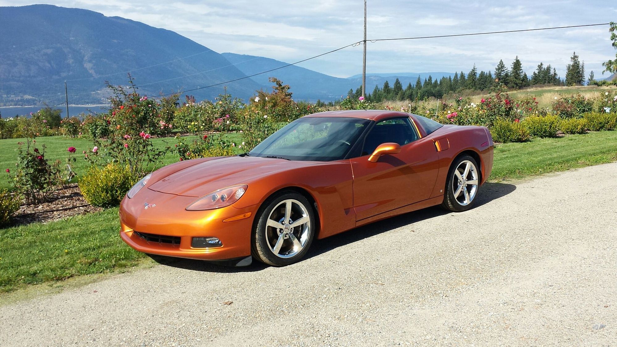 Atomic Orange Corvette C6 Gallery: Post Your Pics Here! - CorvetteForum ...