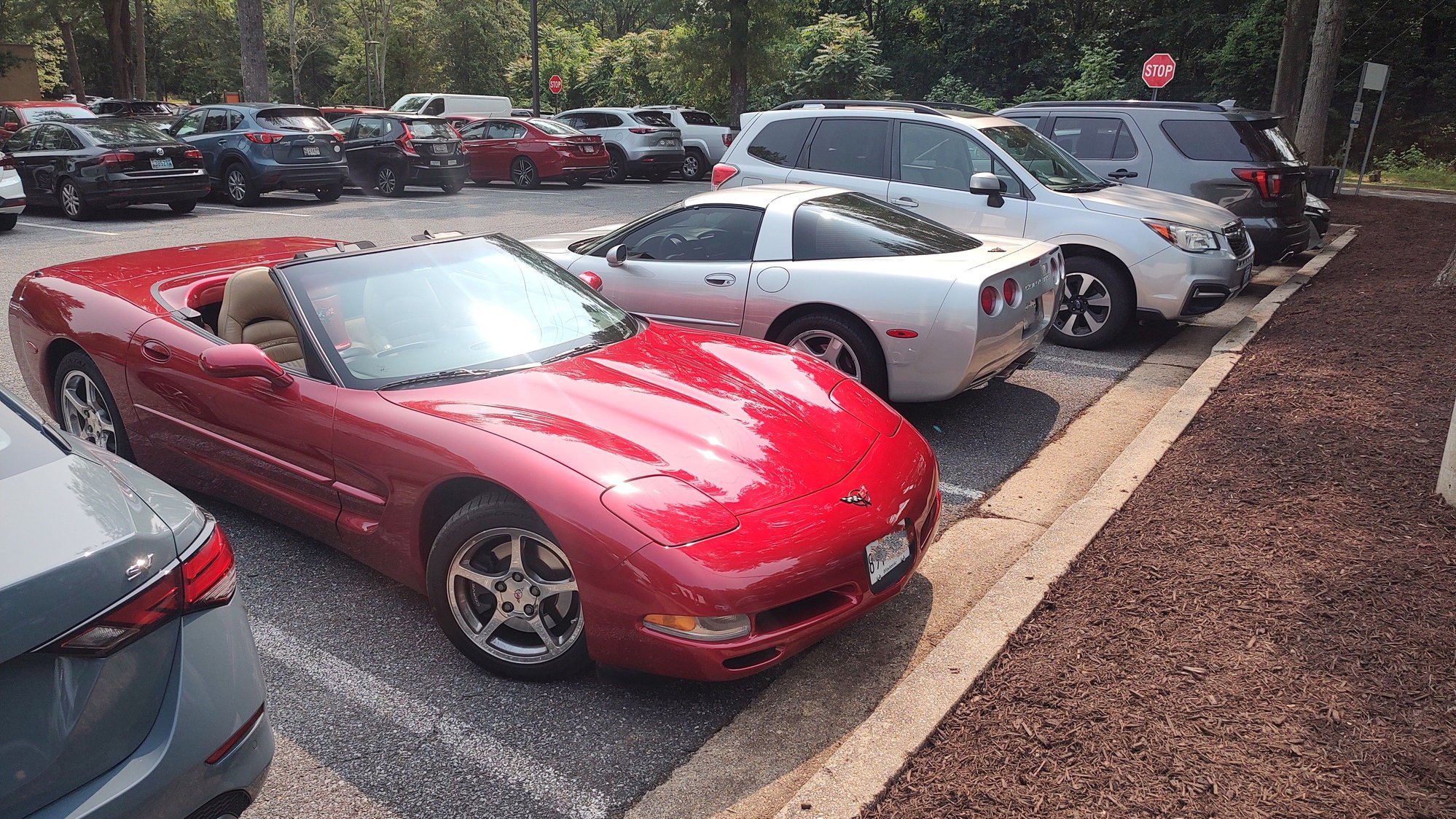 Corvettes we spot in public places (no car show pics please) - Page 44 ...