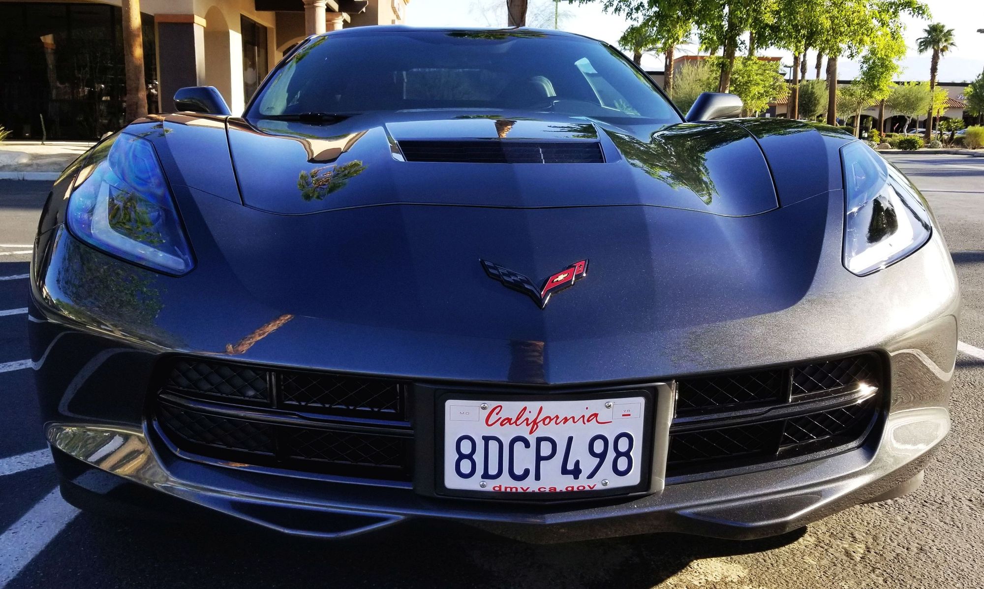 Front License plate frame - CorvetteForum - Chevrolet Corvette Forum ...