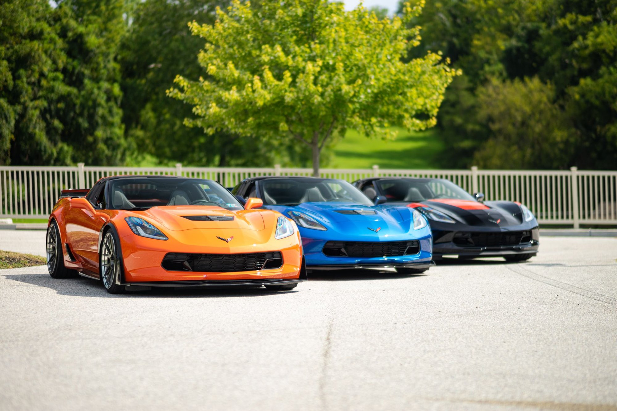 C7 Photoshoot - CorvetteForum - Chevrolet Corvette Forum Discussion