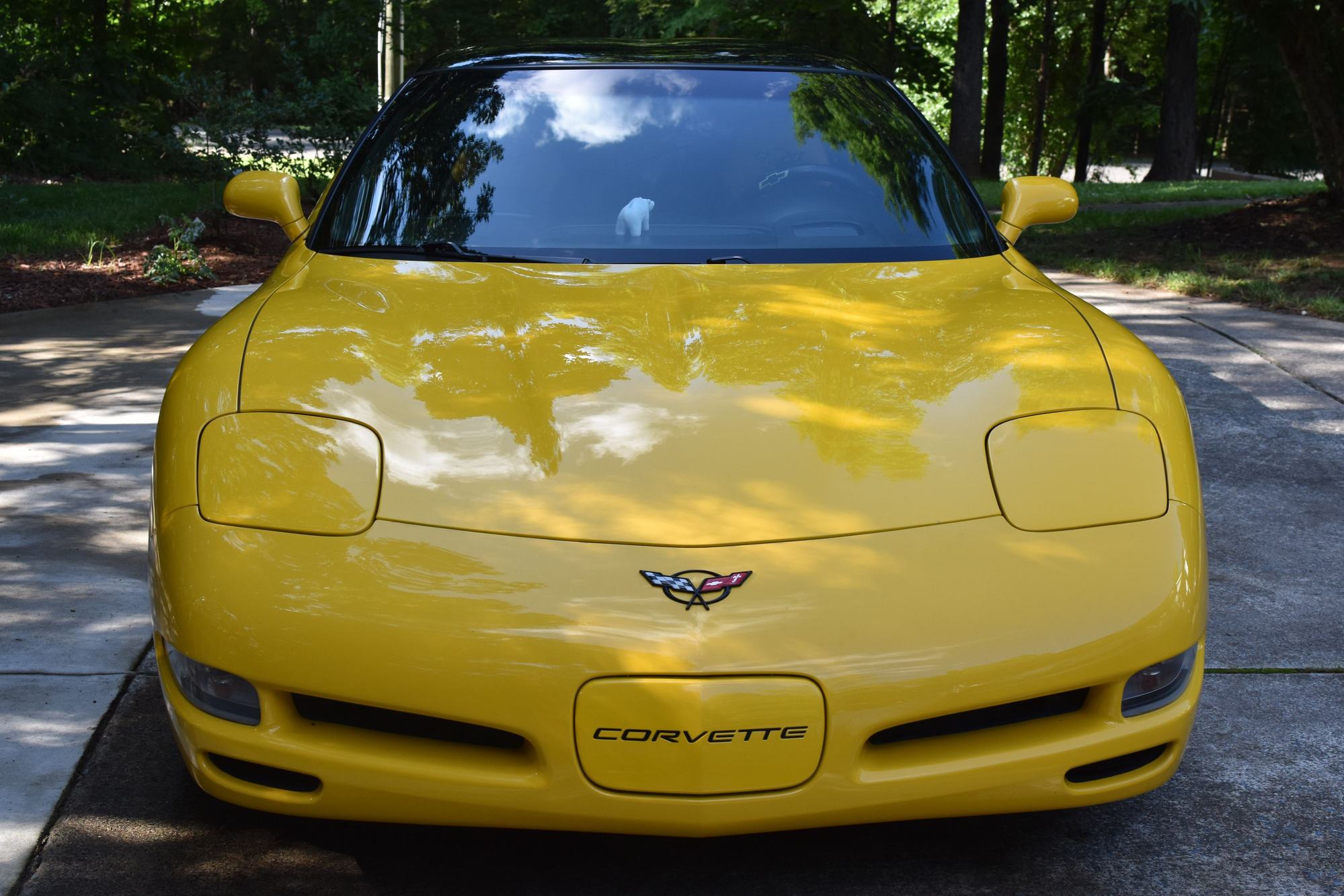 FS (For Sale) 2001 C5 Millennium Yellow (48K) - CorvetteForum ...