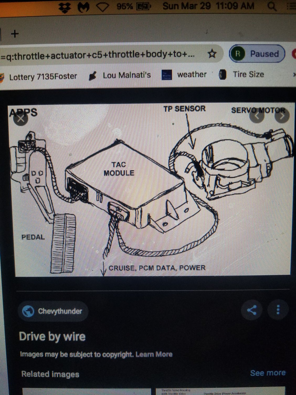 Tb to tac module to pcm harness - CorvetteForum - Chevrolet Corvette ...