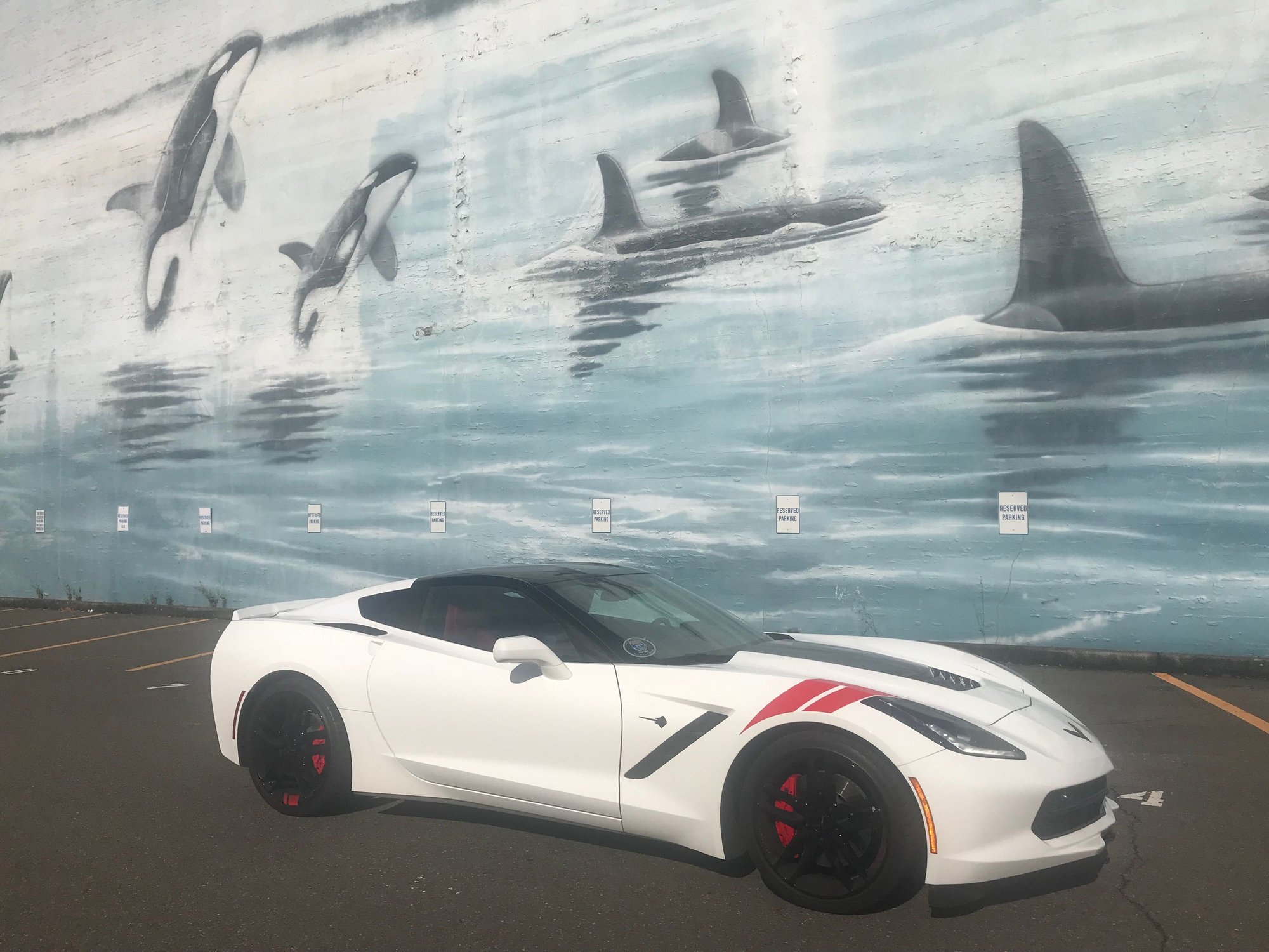 c7 torque tube rebuild - CorvetteForum - Chevrolet Corvette Forum ...