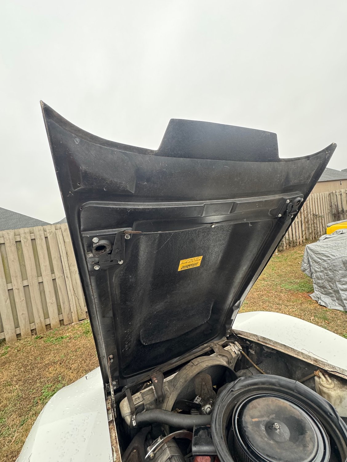 FS (For Sale) SOLD Glasstek C3 L88 hood $600 Upstate Greer SC ...