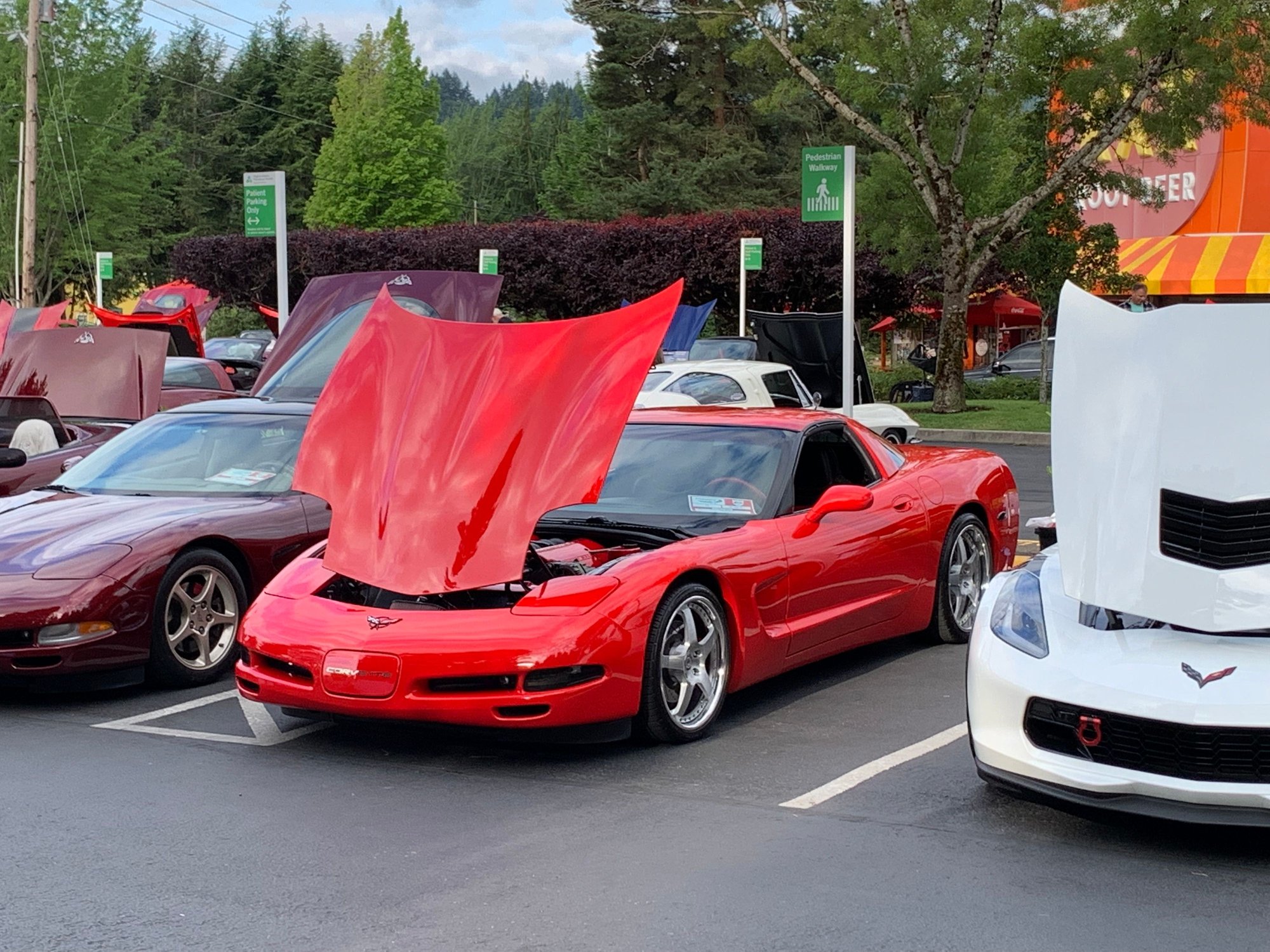 Annual Corvette Show at XXX Rootbeer in Issaquah WA - CorvetteForum ...