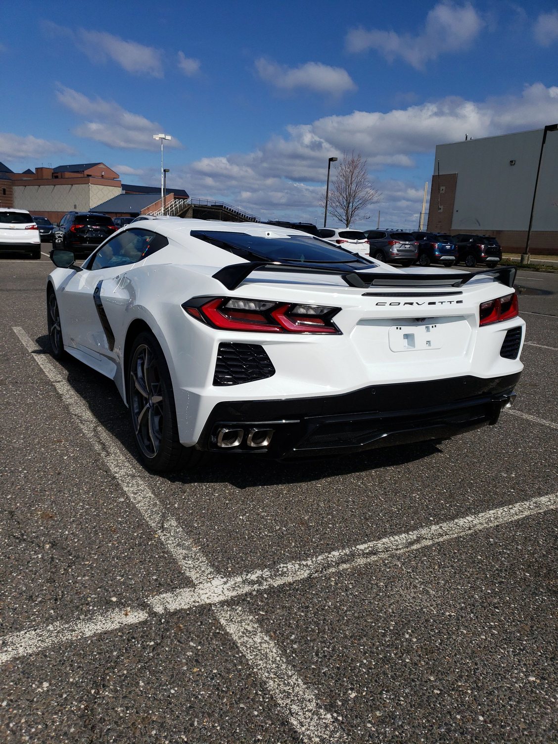They're finally here! - CorvetteForum - Chevrolet Corvette Forum Discussion