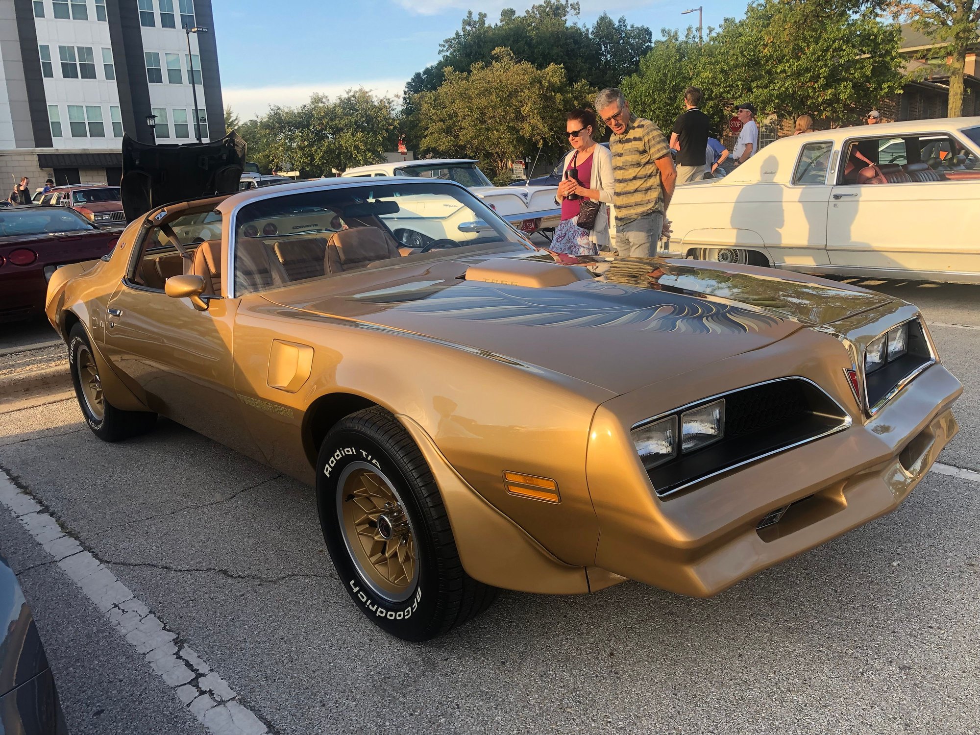 Lisle Car Show Pic’s - CorvetteForum - Chevrolet Corvette Forum Discussion