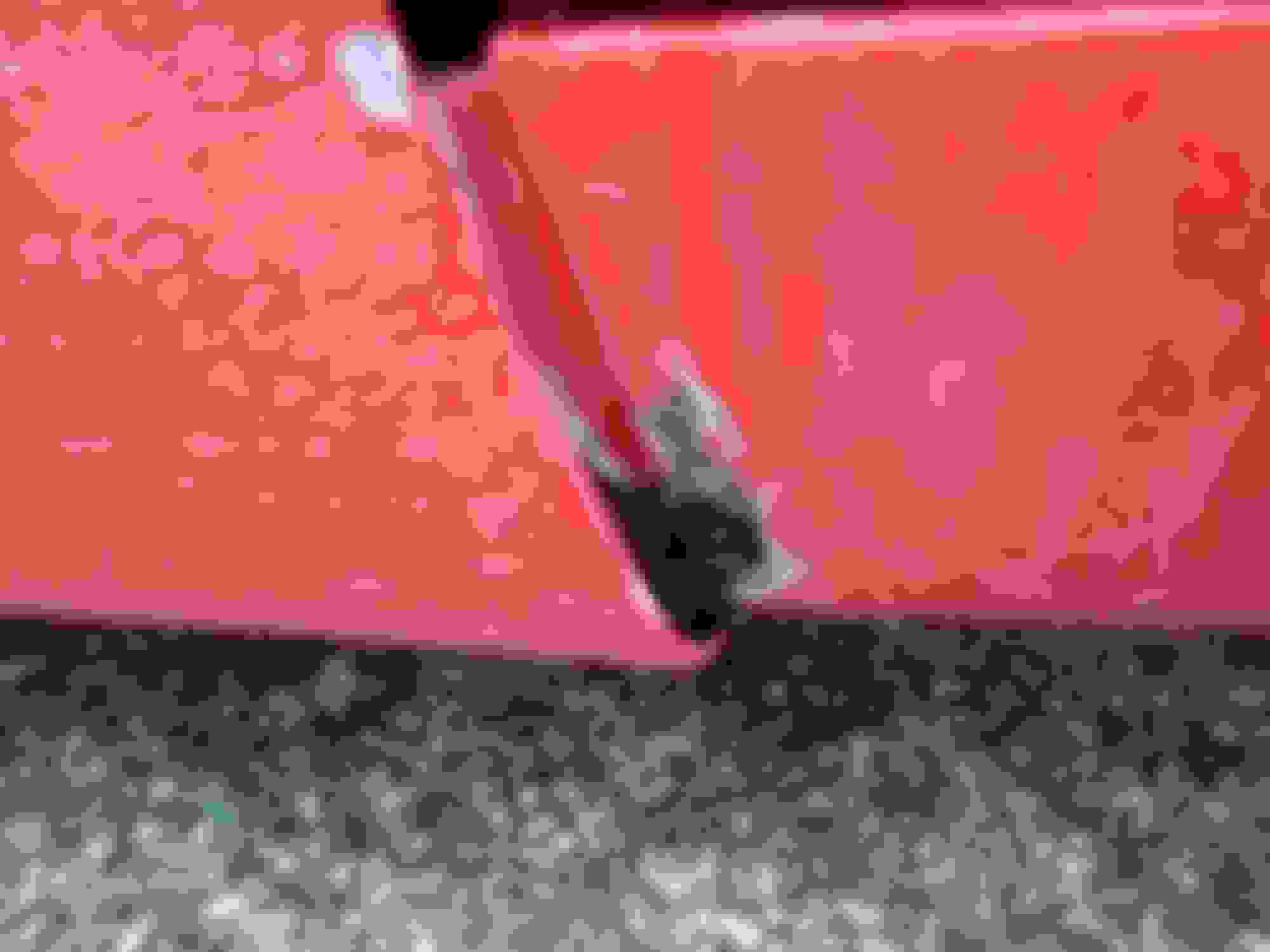 Rocker panel removal - CorvetteForum - Chevrolet Corvette Forum Discussion