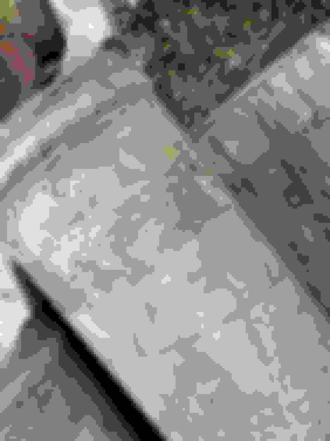 FS (For Sale) Dana 44, Batwing ect. - CorvetteForum - Chevrolet ...