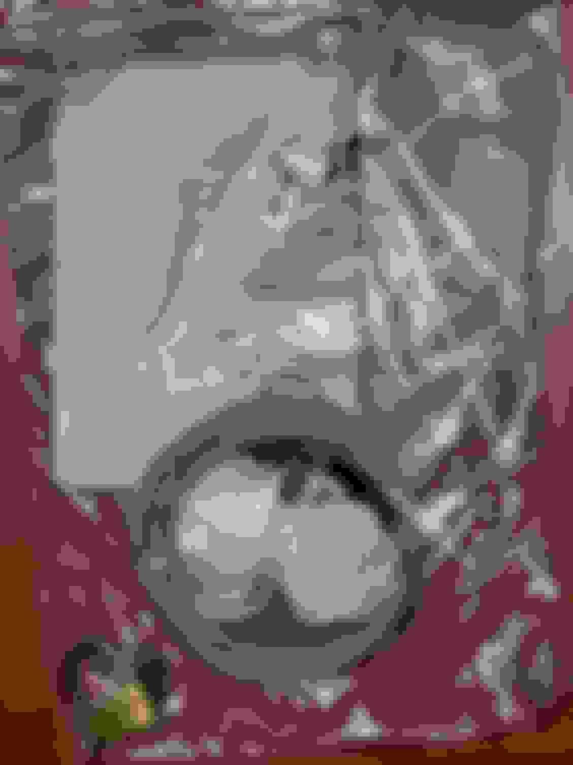 FS (For Sale) Corvette C6 Convertible Gold Shield 5L Car Cover ...