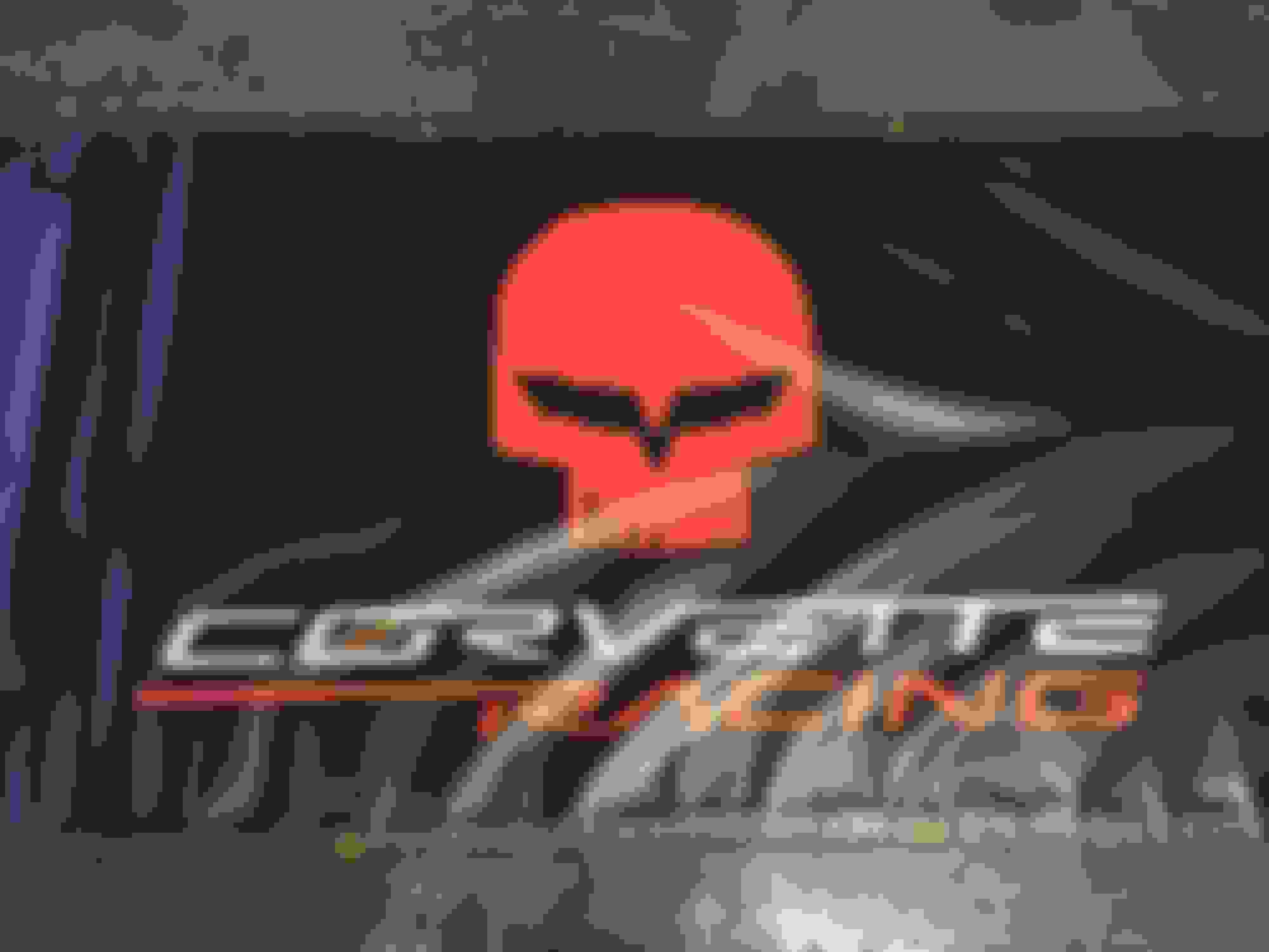 6' x 3' Corvette Racing Jake Skull Banner - CorvetteForum - Chevrolet ...