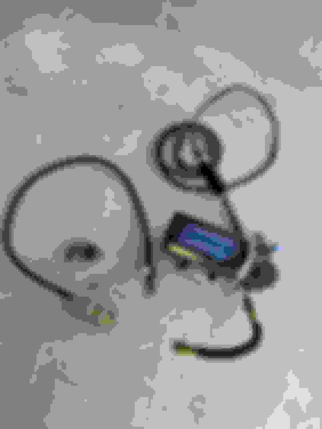 FS (For Sale) Alky Control pump (new) - CorvetteForum - Chevrolet ...