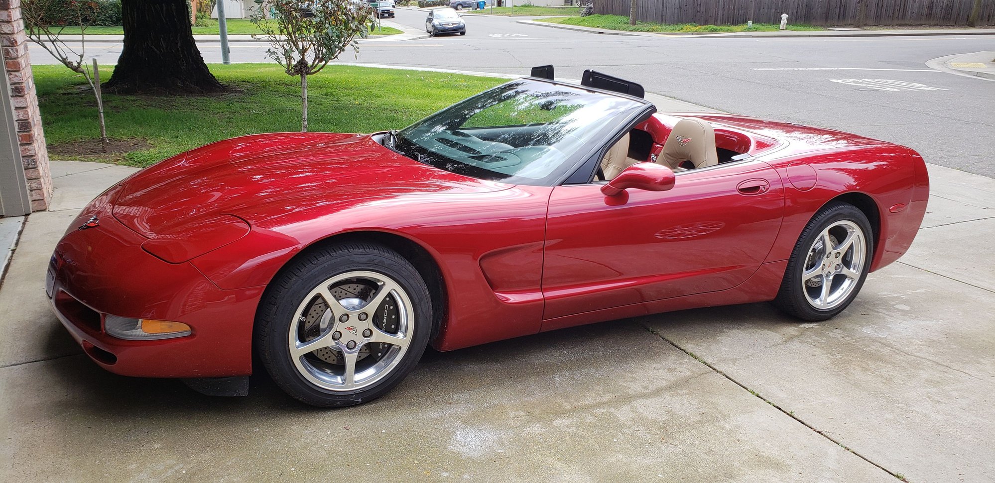 Calipers C5 - CorvetteForum - Chevrolet Corvette Forum Discussion