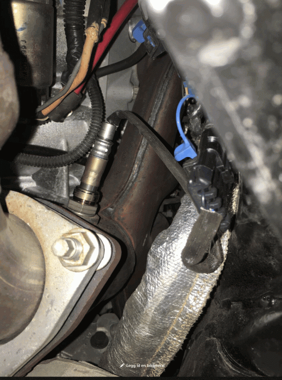 Replacing front O2 sensors - CorvetteForum - Chevrolet Corvette Forum ...