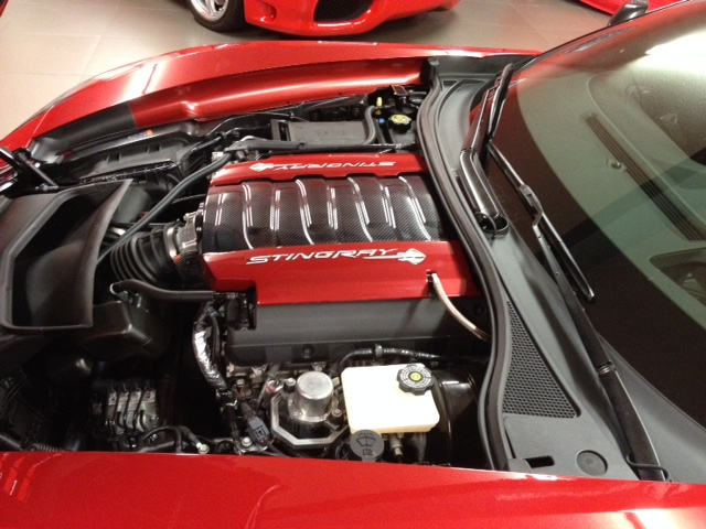 Looking for opinions on engine bay color scheme - CorvetteForum ...