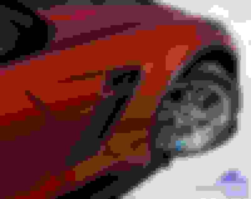 Apsis: Some C7 Z06 Splash Guard Installed Pictures from our customer ...