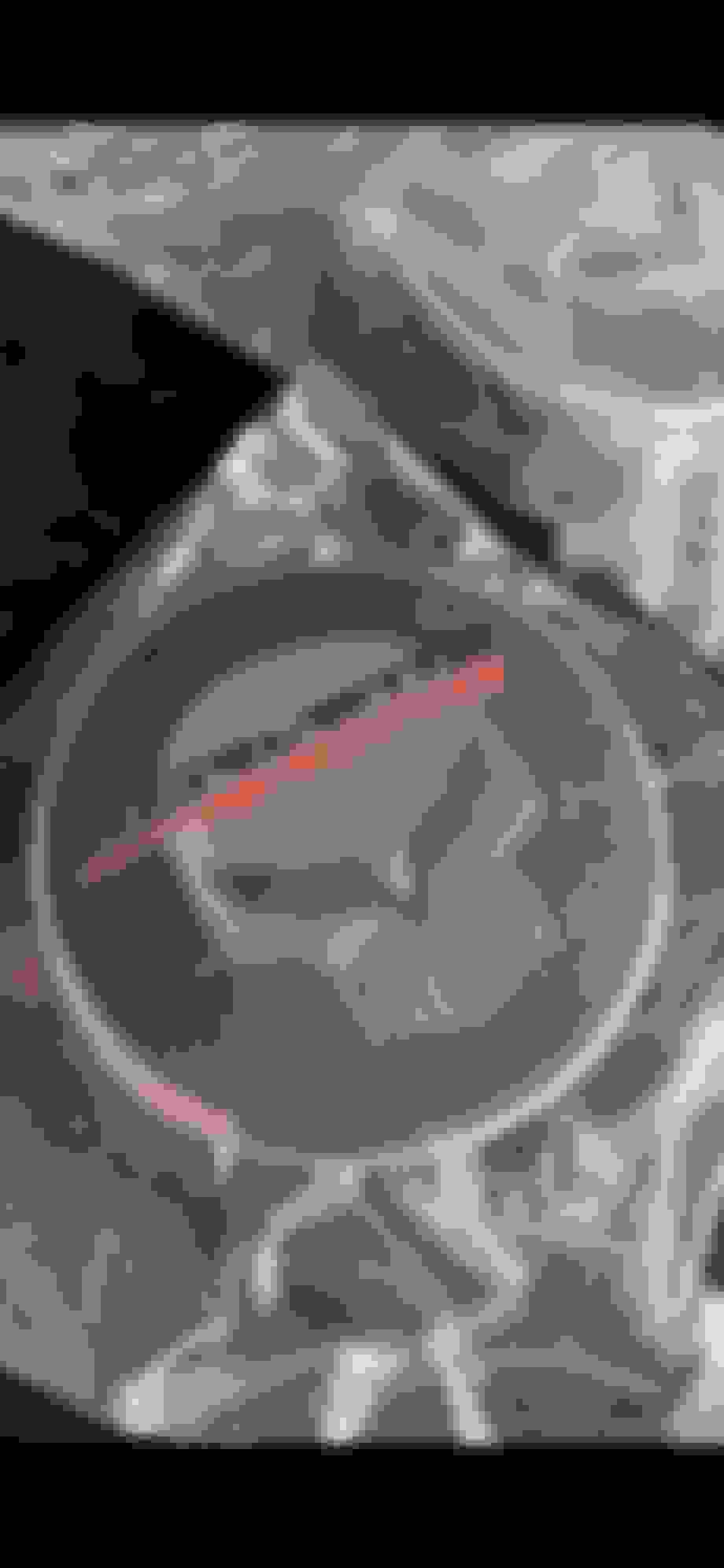 FS (For Sale) (SOLD) C7 Jake Skull center caps (new) - CorvetteForum ...