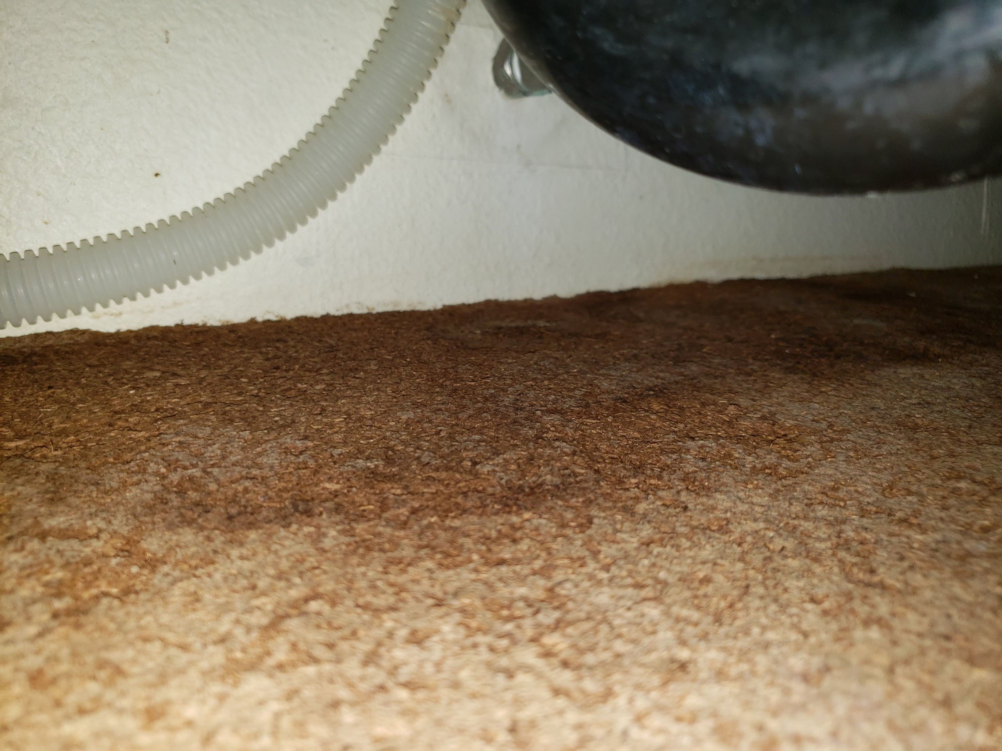 Old water damaged particle board remediation? - DoItYourself.com ...