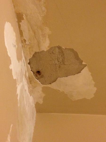 ceiling repair/is this rock lath with lime plaster? water damage ...