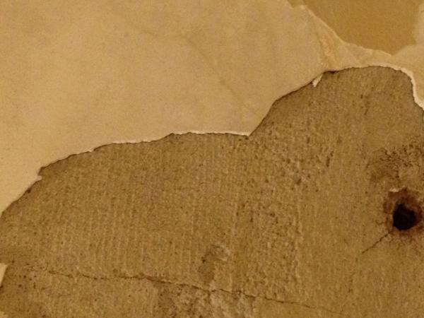 ceiling repair/is this rock lath with lime plaster? water damage ...