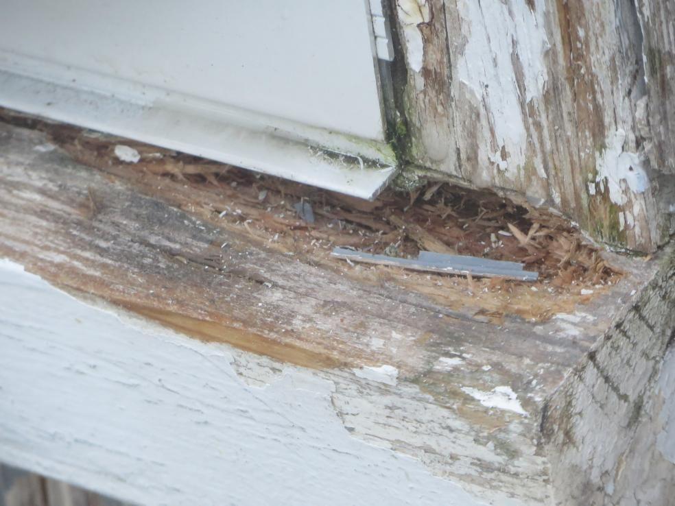 Rotting window trim and sill outside - DoItYourself.com Community Forums